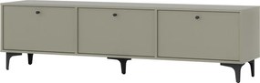 FALCO TV stolek Tomila 303/1 eukalyptus