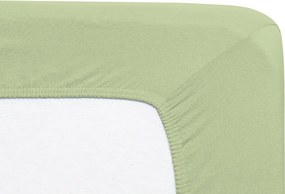 Florella Prostěradlo Avance Jersey 45 Grün, 180-190x200 cm