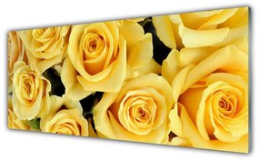 E-shop24, 100 x 50 cm, 1S - 42860315,  Obraz na skle - Růže žluté 100 x 50 cm