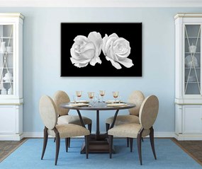 Malvis ® Obraz tajemná bílá růže Velikost: 120x80 cm