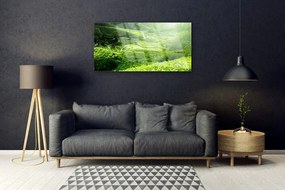 Obraz na skle Louka Příroda 120x60 cm