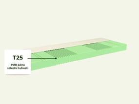 Benlemi Nízké jednolůžko FENCE 4v1 se zábranou 90x200 cm + matrace ADAPTIC Zvolte barvu: Transparentní vosková lazura matná, Zvolte zábranu: S jednou zábranou