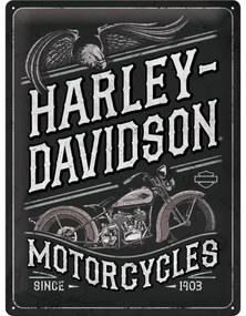 Postershop Plechová cedule: Harley-Davidson Motorcycles Eagle - 40x30 cm