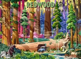 RAVENSBURGER Puzzle National Park: Redwood / 500 dílků / 49 × 36 cm