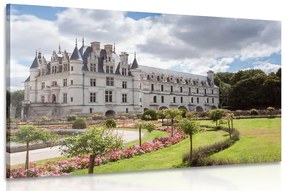 Obraz zámek Chenonceau