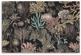 Gario Obraz na plátně Nádherné mořské korály Rozměry: 60 x 40 cm