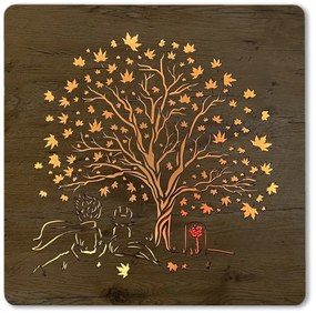 Li-Go "Malý princ" světelný obraz s baterií 62x62cm varianta: ovládání na obraze včetně dálkového ovladače, provedení: dub světlý