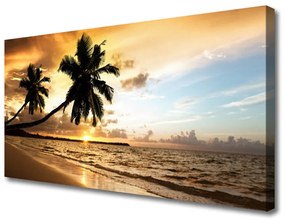 Obraz na plátně Palma Stromy Pláž Krajina 100x50 cm