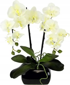 2 x Orchidej v květináči orchidej 2 kusy