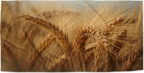 Sablio Ručník Klasy 2 - 70x140 cm