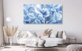 Obraz modro-bílé květy hortenzie Varianta: 120x60