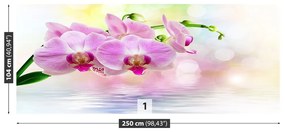 Fototapeta Orchidej růže 104x70