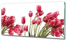 Wallmuralia Fotoobraz na skle Červené tulipány 100x50