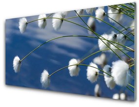 akrylový obraz Květiny Rostlina Příroda 100x50 cm