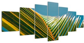 Obraz - Detail palmového listu (210x100 cm)