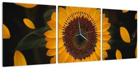 Obraz - Slunečnice a lístky květů (s hodinami) (90x30 cm)