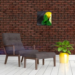 Obraz citrónů a máty na stole (30x30 cm)