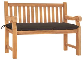 vidaXL Zahradní lavice s poduškou 120 cm masivní teak