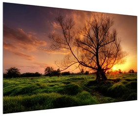 Obraz stromu v zelené krajině (120x80 cm)