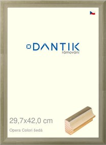 DANTIK rámeček 29,7x42 | OPERA Colori šedá (Plexi Čiré)