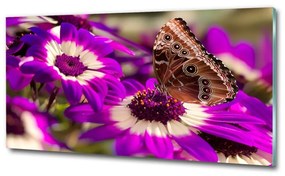Wallmuralia Fotoobraz skleněný na stěnu do obýváku Motýl na květině 100x50