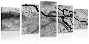 5-dílný obraz surrealistické stromy v černobílém provedení - 200x100 cm