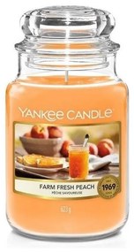 Yankee Candle | Yankee Candle - Vonná svíčka FARM FRESH PEACH velká 623g 110-150 hod. | YC0013