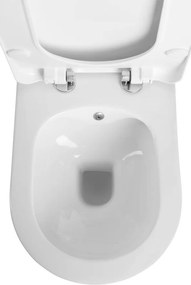 Sapho Sapho, AVVA CLEANWASH závěsná WC mísa s bidet. sprškou, Rimless, 35,5x53cm, bílá, 100312