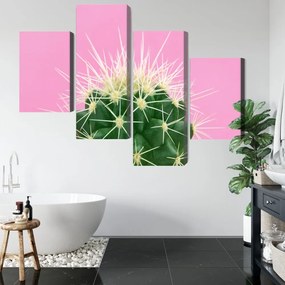 Vícedílný obraz Kaktus Na Růžovém Pozadí Nedostatek Nedostatek Přírodní plátno 160x100