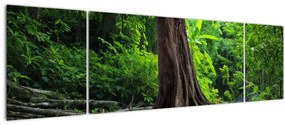Obraz - Starý strom s kořeny (170x50 cm)