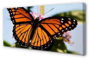 Obrazy na plátně barevný motýl 125x50 cm