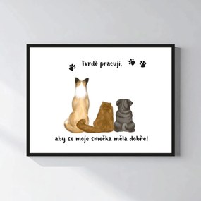 Personalizovaný magický fotoobraz v rámu - 30x40 - ilustrace mazlíčků