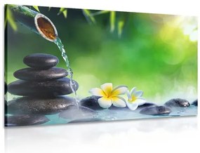 Obraz harmonie v Zen zahrada - 90x60 cm