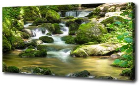 Wallmuralia Foto obraz na plátně do obýváku Vodopád 100x50
