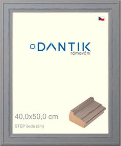 DANTIK rámeček 40x50 | STEP šedá (Plexi Čiré)