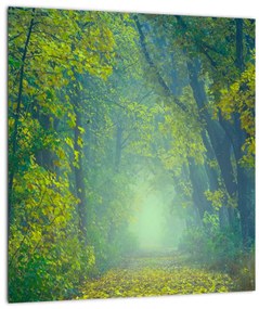 Obraz cesty lemované stromy (30x30 cm)