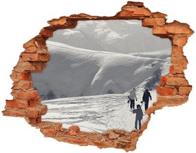 Wallmuralia Fototapeta díra na zeď Lyžaři 90x70 cm