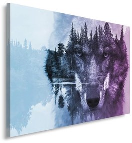 Obraz na plátně, Lesní vlk Zvířata Příroda - 90x60 cm