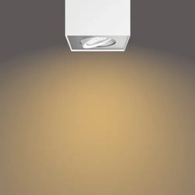 Bodové LED svítidlo Philips Box 50491/31/P0 3,5W 500lm 2200-2700K teplá bílá, stmívatelné
