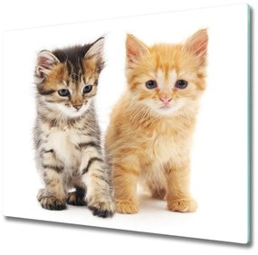 Skleněná krájecí deska Hnědá a červená kočka