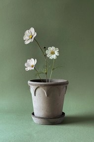 Malý květináč Elizabeth s podstavcem 16 cm šedý