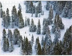 Galison Oboustranné puzzle Sníh Gray Malin / 500 dílků / od 8 let