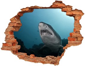 Wallmuralia Díra 3D fototapeta nálepka Velký žralok 90x70 cm