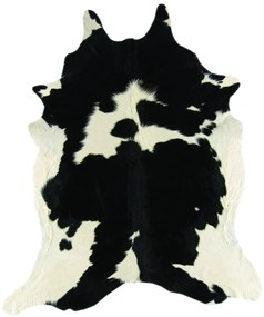 Černý koberec Banshee Black Rozměry: 180x240 cm