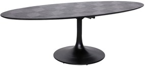 OnaDnes -20% Černý dubový oválný jídelní stůl Richmond Blax 250 x 120 cm