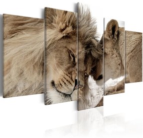 Obraz lví láska II + háčky a hřebíčky ZDARMA Velikost (šířka x výška): 100x50 cm