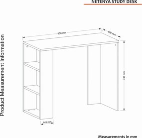 Pracovní stůl Netenya White