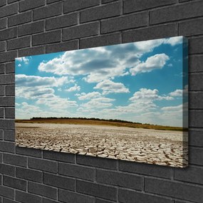 Obraz na plátně Poušť Krajina 140x70 cm