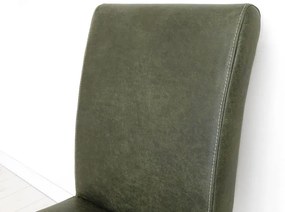 Čalouněná židle Rustyk 1