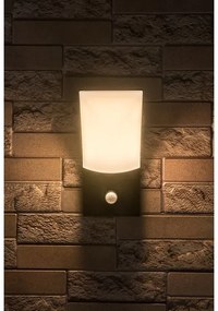 Rabalux 77172-LED Venkovní nástěnné svítidlo se senzorem TOLNA LED/10W/230V IP54